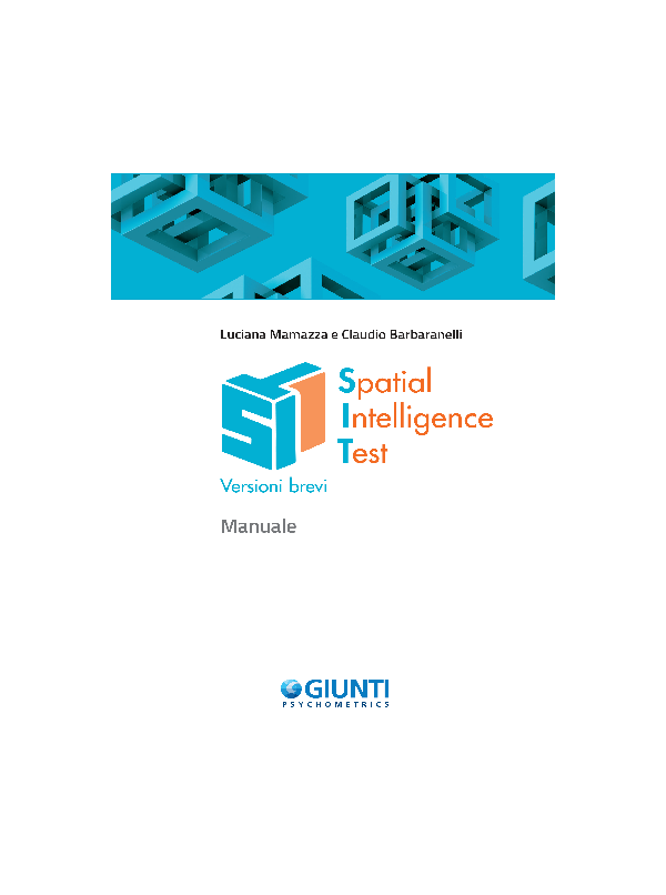 SIT - Spatial Intelligence Test